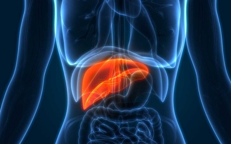 NV | Cómo ayudar al hígado a eliminar las toxinas que perjudican la ...